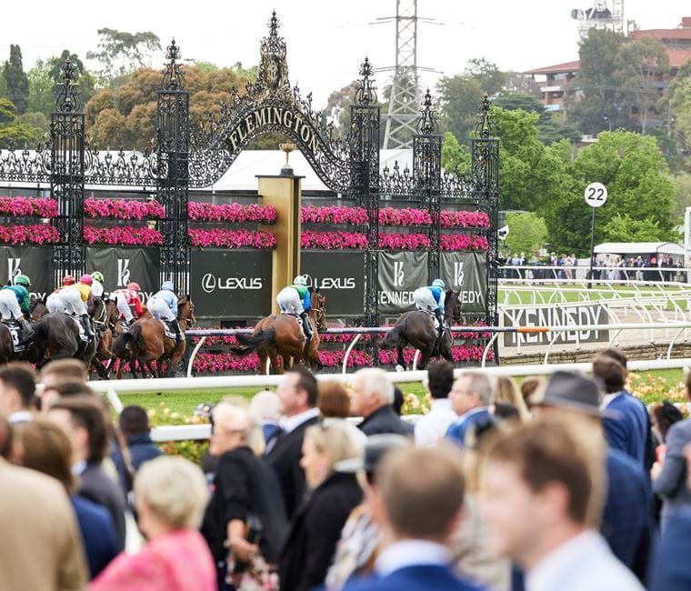 VRC Members Hub | Victoria Racing Club