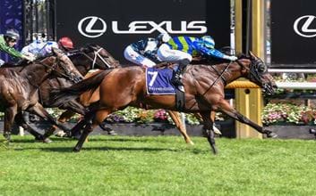 Flemington Latest Racing News | VRC