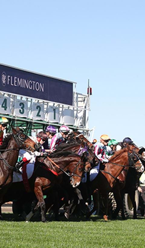 Flemington | Victoria Racing Club | Melbourne Cup Carnival